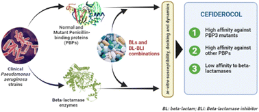 Cefiderocol susceptibility endows hope in treating carbapenem-resistant ...