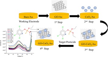 Graphene oxide–cerium oxide nanocomposite modified gold electrode for ...