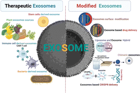 Landscape of exosomes to modified exosomes: a state of the art in ...