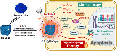 Near-infrared-responsive Prussian blue nanocages loaded with 5 ...