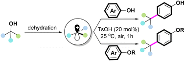 TsOH-catalyzed dehydroxylative cross-coupling of alcohols with phenols ...