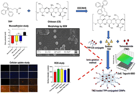 Quality-by-design-engineered mitochondrial targeted nanoparticles for ...