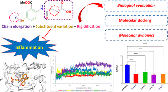 Investigating the anti-inflammatory potential of N-amidic acid ...