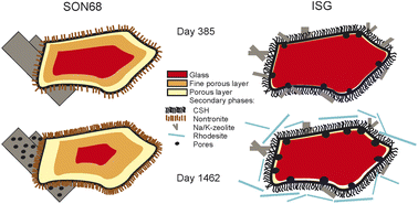 Dissolution of simulated nuclear waste glass at high surface area to ...