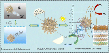 Synergistic self-driven and heterogeneous effect of a biomass-derived ...