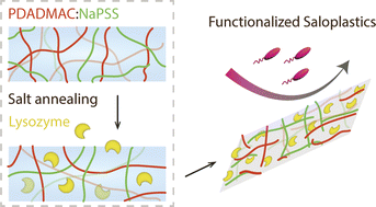 Achieving lysozyme functionalization in PDADMAC–NaPSS saloplastics ...