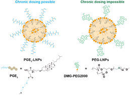 Ethylene oxide graft copolymers reduce the immunogenicity of lipid ...
