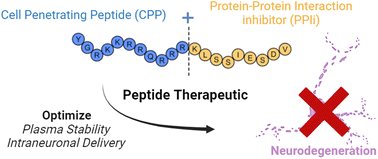 Design of peptide therapeutics as protein–protein interaction ...