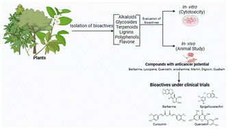 Incredible use of plant-derived bioactives as anticancer agents - RSC ...