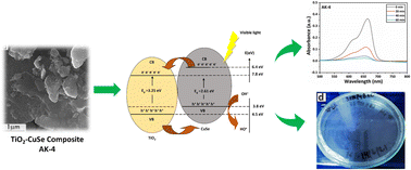 Harnessing the synergistic potential of TiO2–CuSe composites for ...