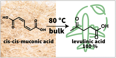 Mild decarboxylation of neat muconic acid to levulinic acid: a combined ...