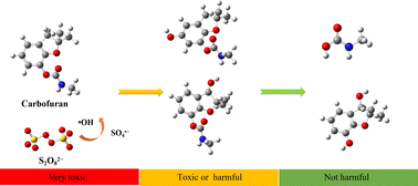 Mechanism and toxicity assessment of carbofuran degradation by ...