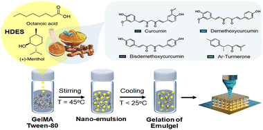 3D printed personalized wound dressings using a hydrophobic deep ...