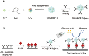Enzyme-encapsulated metal–organic framework ZIF-8-mediated biosensor ...