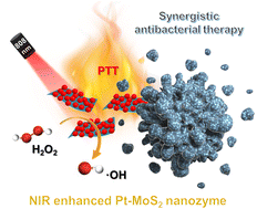 Synthesis of Pt–MoS2 with enhanced photothermal and peroxidase-like ...