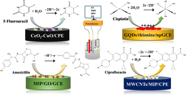 Electrochemical analysis of anticancer and antibiotic drugs in water ...