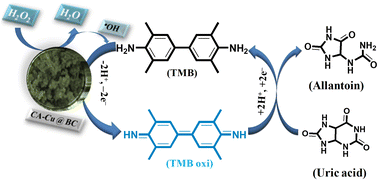Optical detection of uric acid based on a citric acid functionalized ...