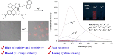 A rhodamine-based fluorescent probe bearing 8-hydroxyquinoline group for the highly selective ...