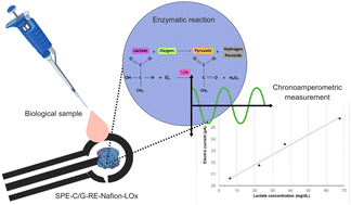 Electrochemical evaluation of screen-printed sensor manufacturing and ...