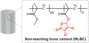 Preparation and characterization of novel PMMA bone cement containing 3 ...