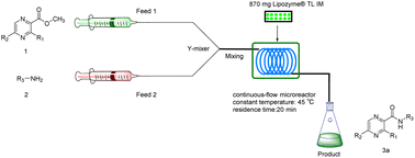 Pyrazine derivative synthesis in a continuous-flow system: a green ...