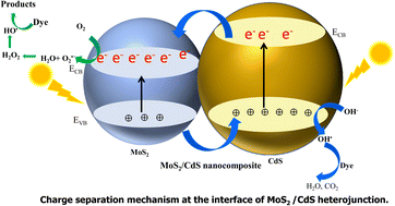 Sunlight-activated heterostructure MoS2/CdS nanocomposite photocatalyst ...