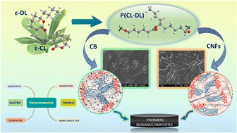 Poly(ε-caprolactone-co-ε-decalactone)/carbon black or carbon nanofiber ...