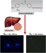 Red edge effect of chalcone derivatives and their application in Bio ...