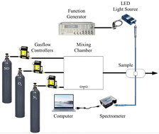 Ratiometric optical dual gas sensor for simultaneous detection of ...