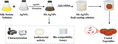 Synthesis, characterization and application of silk sericin-based ...