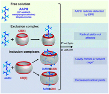 Complexes between 2,2′-azobis(2-methylpropionamidine) dihydrochloride ...