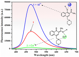 Fluorescence sensing of metal ions in solution using a morpholine ...