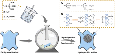 Increasing the waterproof performance of fatliquored leather by silane ...