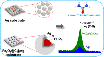 Unlocking new possibility of Fe3O4@C@Ag nanostructures as an advanced ...