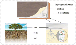 Root-inspired grafting of wood surfaces with hyperbranched polymers for ...