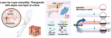 Layer-by-layer assembly: advancing skin repair, one layer at a time ...