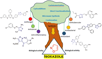 Advances in isoxazole chemistry and their role in drug discovery - RSC ...