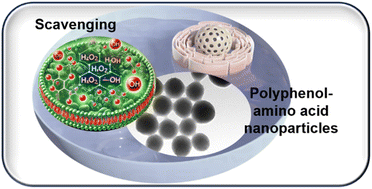 Synergistic polyphenol–amino acid nanoparticles: a new strategy for ...