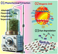 Green synthesis of ZnO nanoparticles using Justicia adhatoda for photocatalytic degradation of ...