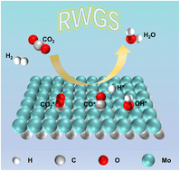 The reverse water gas shift reaction (RWGS) mechanism study on the γ ...