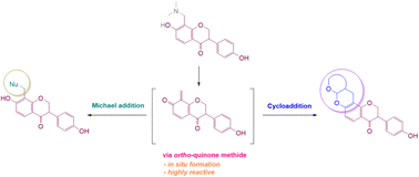 Synthesis of fused-ring systems and diarylmethane flavonoids via ortho ...