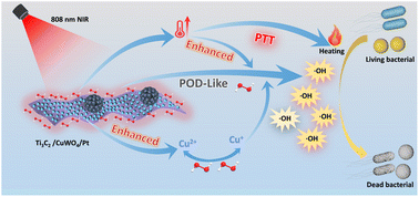Ti3C2/CuWO4/Pt nanozyme: photothermal-enhanced chemodynamic ...