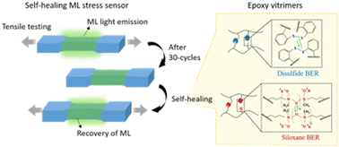 Recovering mechanoluminescence in SAOED/epoxy stress sensors with self ...