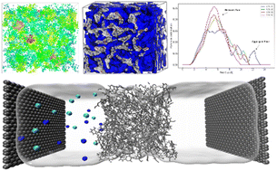 PX-MDsim: a rapid and efficient platform for large-scale construction ...