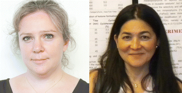 Introduction to the RSC Advances Emerging Investigators Series 2023 ...