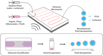 Microfluidic synthesis of PLGA nanoparticles enabled by an ultrasonic ...