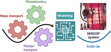 Modelling the impact of mass transport in a miniplant photoreactor ...