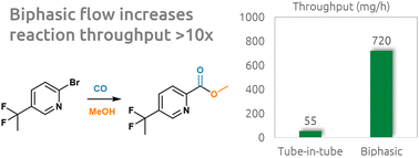 Carbonylations in flow: tube-in-tube reactor vs. gas–liquid slug flow ...