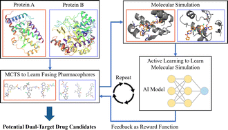 Structure-aware dual-target drug design through collaborative learning ...
