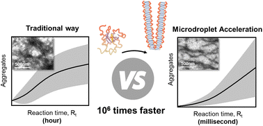 Accelerating protein aggregation and amyloid fibrillation for rapid ...